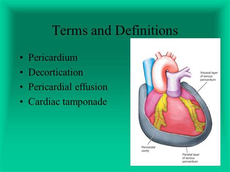 Pericardial Window Procedure Steps