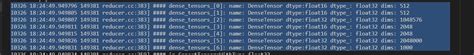 BUG Issue PaddlePaddle Paddle GitHub