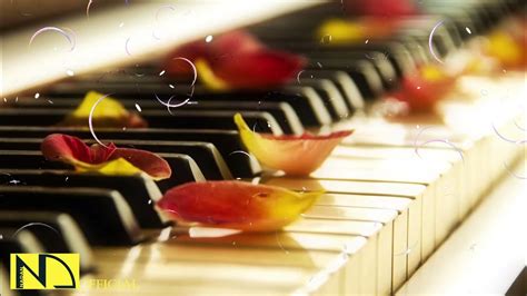 10시간 편안한 스트레스 해소음악 💖 마음이 편안해지는 음악 공부 수면 기분좋은 휴식명상마음치유힐링음악 ♬ 아름다운 피아노 연주곡 모음 Youtube