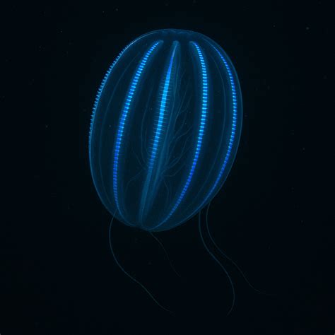 Understanding Basic Data Types Integers Floats Booleans And Strings