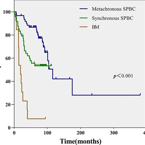 Survival Comparison Of Metachronous Group Synchronous Group And Breast