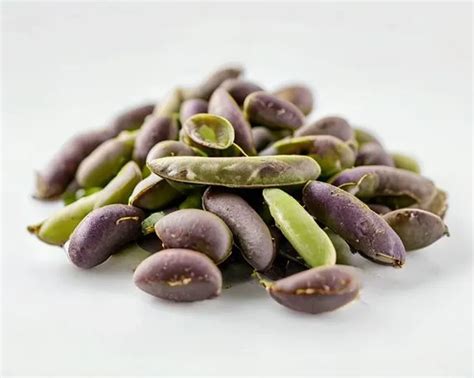 Fava Beans Lysine And Arginine A Balanced Amino Acid Profile