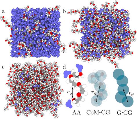 A C Snapshots From The Aa Simulations Of Peg H 2 O Mixtures With Peg