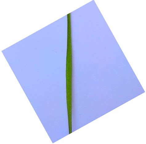 Healthy Single Class Object Detection Dataset And Pre Trained Model By Technological Institute