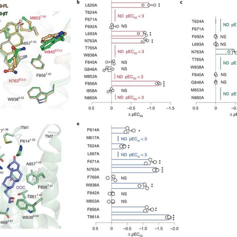 Cryo Em Structure Of Dhea Bound Adgrg2 A B Orthogonal Views Of The Download Scientific Diagram