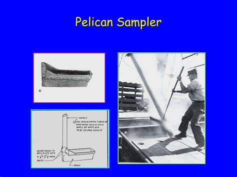 Ppt Detection And Monitoring Of Stored Grain Insects Powerpoint