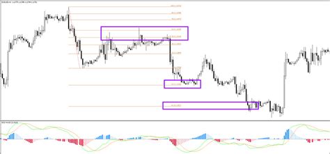 image25 ecs elite currensea