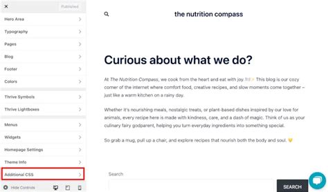 How To Add Custom Css To Your Wordpress Website — Easily And Safely Wp Passion