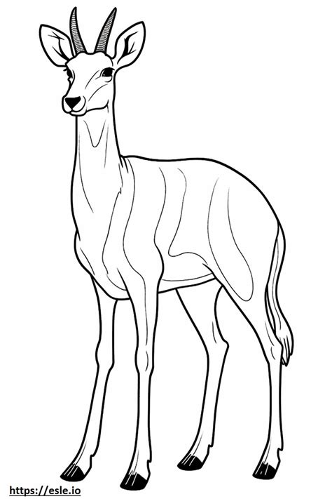 Antelope Full Body Coloring Page