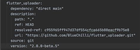 The Application Crashes After Trying To Upload A File Issue Fluttercommunity Flutter