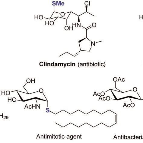 Selected Examples Of Thioglycosides With α 12 Cis Configuration
