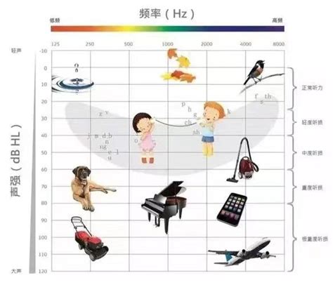 声音 频率”和 强度”是一回事儿吗？ 知乎