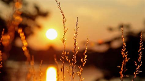 Warm Wallpapers Warm Light Ultra Hd Wallpaper For 4k Uhd Tv And Desktop