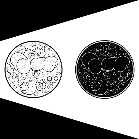 Chat Bubble Iconchat Bubble Icon Illustrationchat Bubble Icon Vector