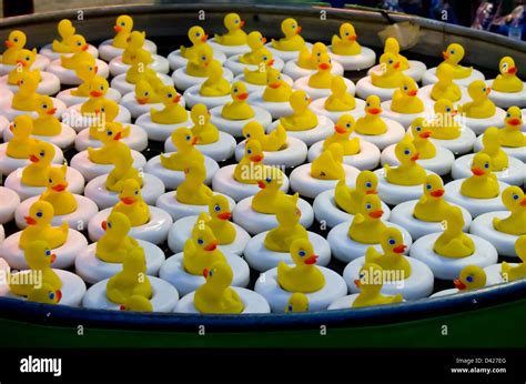 Duck Pond Game