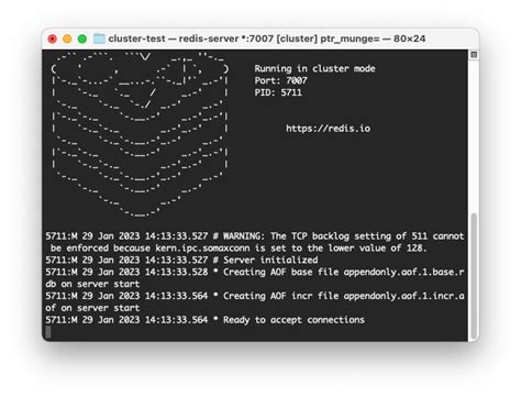 Redis Cluster