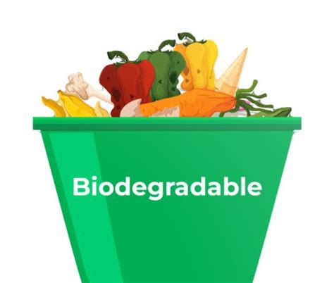 Biodegradable Waste Article 1