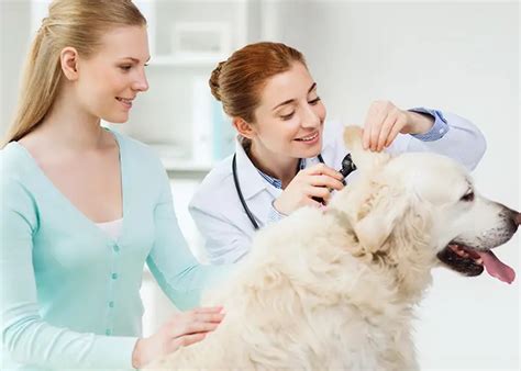 Data Governance Implementation Winwire