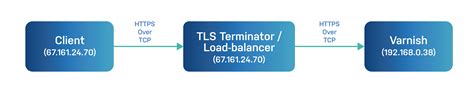 Howto Tls Termination With Hitch