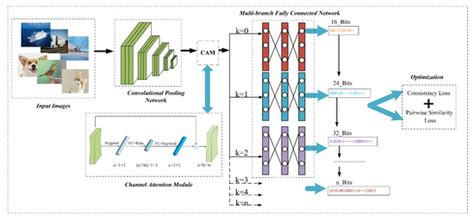 attention oriented deep multi task hash learning