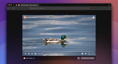 Duckduckgo Browser Mit Einem Mehr An Datenschutz Für Macos Geht Als Offene Beta An Den Start