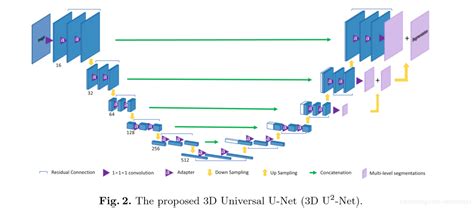 Miccai2019 3d U2 Net A 3d Universal U Net For Multi Domain Medical Image Segmentationvisual