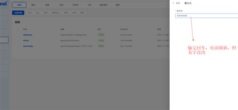 BUG 容器名命名失败 Issue Panel dev Panel GitHub