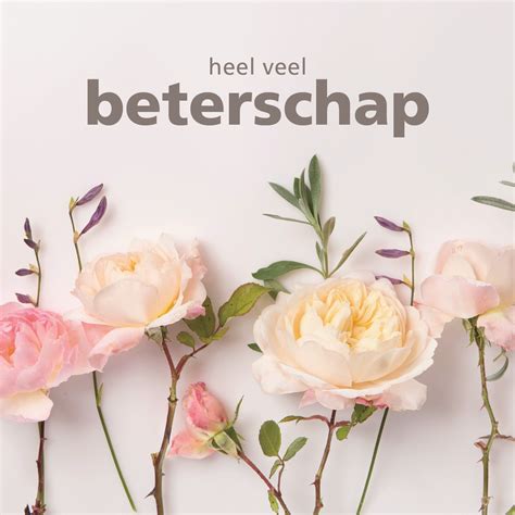 Dream Beterschap Bloemandso
