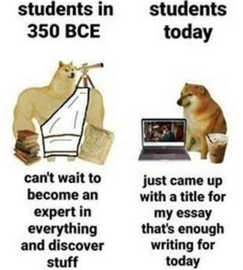 object permanence no object permanence no object permanence funny