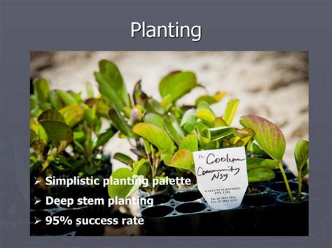 practical approaches to coastal conservation ppt download