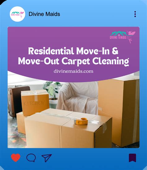 Professional Carpet Cleaning Service In Tukwila Washington Expert