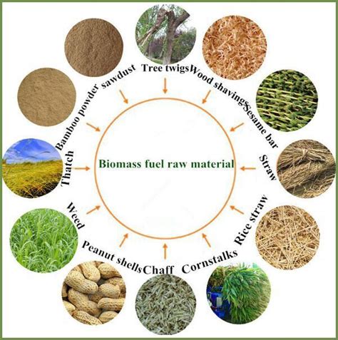 Wood Biomass Material To Wood Biomass Pellet Fuel Poultry Farm Design
