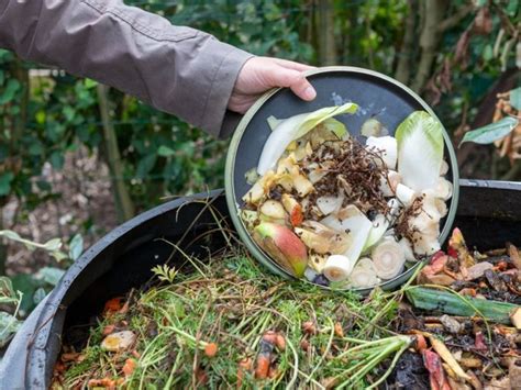 Tips Information About Composting Basics Gardening Know How