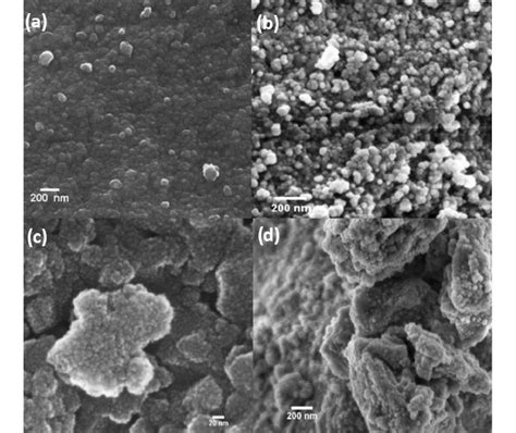 Sem Micrographs For The Samples A Tio 2 B 0 5 Fe Tio 2 C 1