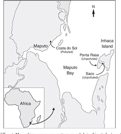 Figure 1 From Rnadna Ratio Of Crabs As An Indicator Of Mangrove
