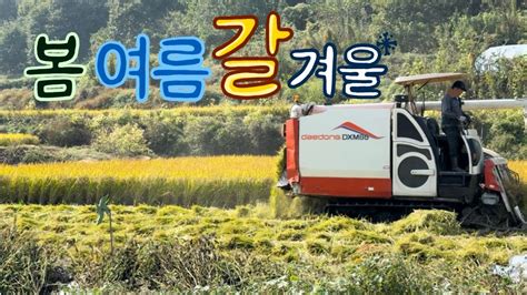 유난히 짧았던 가을브이로그🌾 Youtube