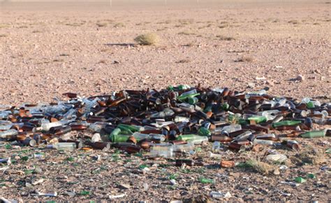 Ховд аймгийн Хар Ус нуур орчмын УТХГНХЗ Алтайн хос ирвэс нөхөрлөл хамтран “Байгаль хогийн цэг