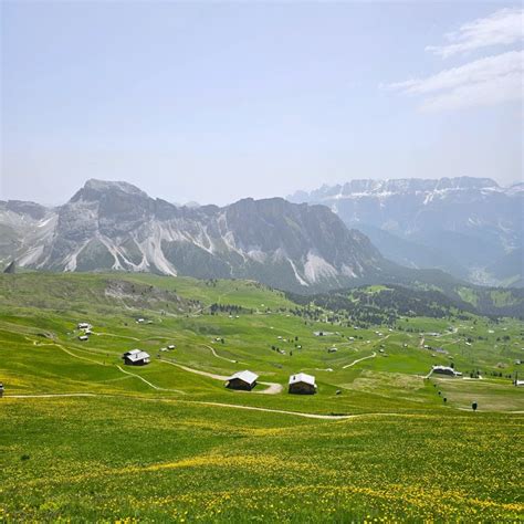 이탈리아 돌로미티 여행 세체다 케이블카 트레킹 야생화 날씨 네이버 블로그