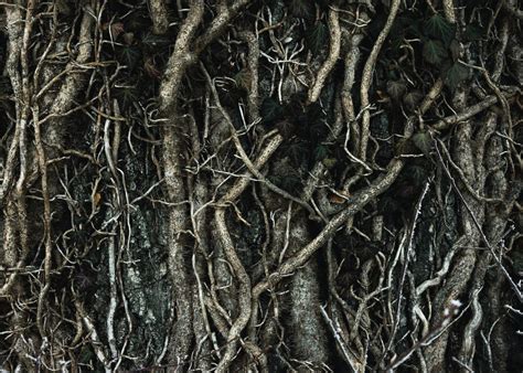 The Root Of Evil Sermon Illustrations From Sermon Illustration Ideas