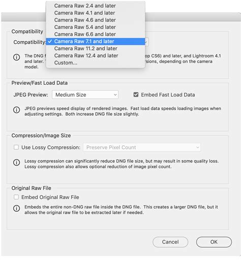 How To Open And Edit GoPro Gpr RAW Files On Older Photo Editing Software