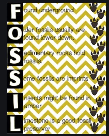 Fossil Review 3a 3rd Grade Quiz Wayground Formerly Quizizz