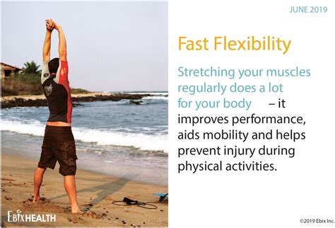 The Weekly E Bite Fast Flexibility