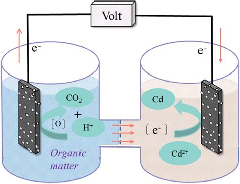 diagram of the double chamber microbial electrolysis cell device
