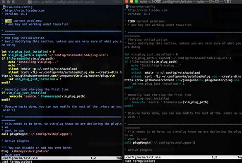 Vim Nvim In Macos Terminal Breaks On Displaying Termguicolors Stack