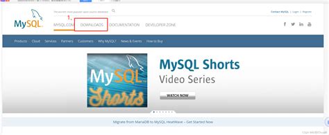 linux下安装mysql8 0（以tar xz包安装 编译安装） mysql tar xz csdn博客