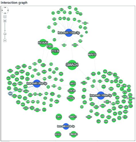 Mirtargetlink 20 Interactive Mirna Target Gene And Target Pathway