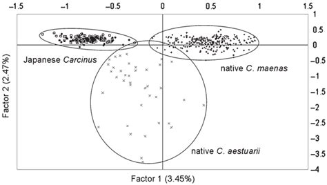 Factorial Correspondence Analysis Of Nuclear Microsatellite Data Download Scientific Diagram