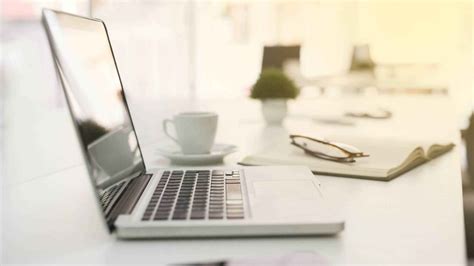 Toptal Vs Codeable Pros Cons And Surprising Differences You Need To