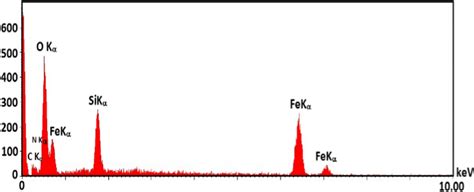 edx spectrum of fe3o4 sio2 pr paba nanoparticles 1 download