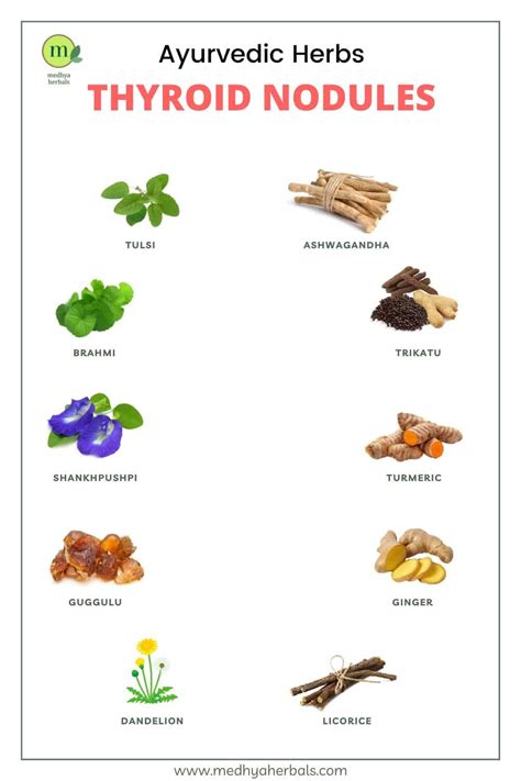Complete Ayurvedic Treatment To Shrink Thyroid Nodules Naturally